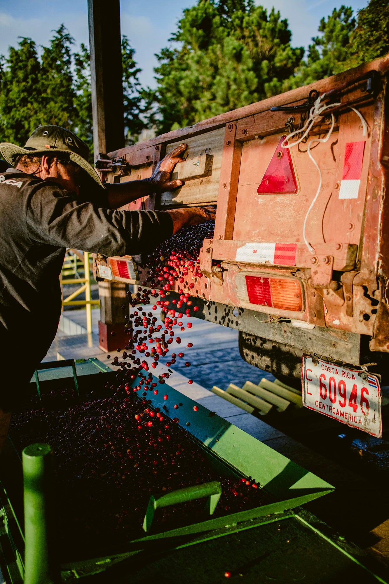 Specialty Coffee Transaction Guide Released – Drop Coffee Roasters