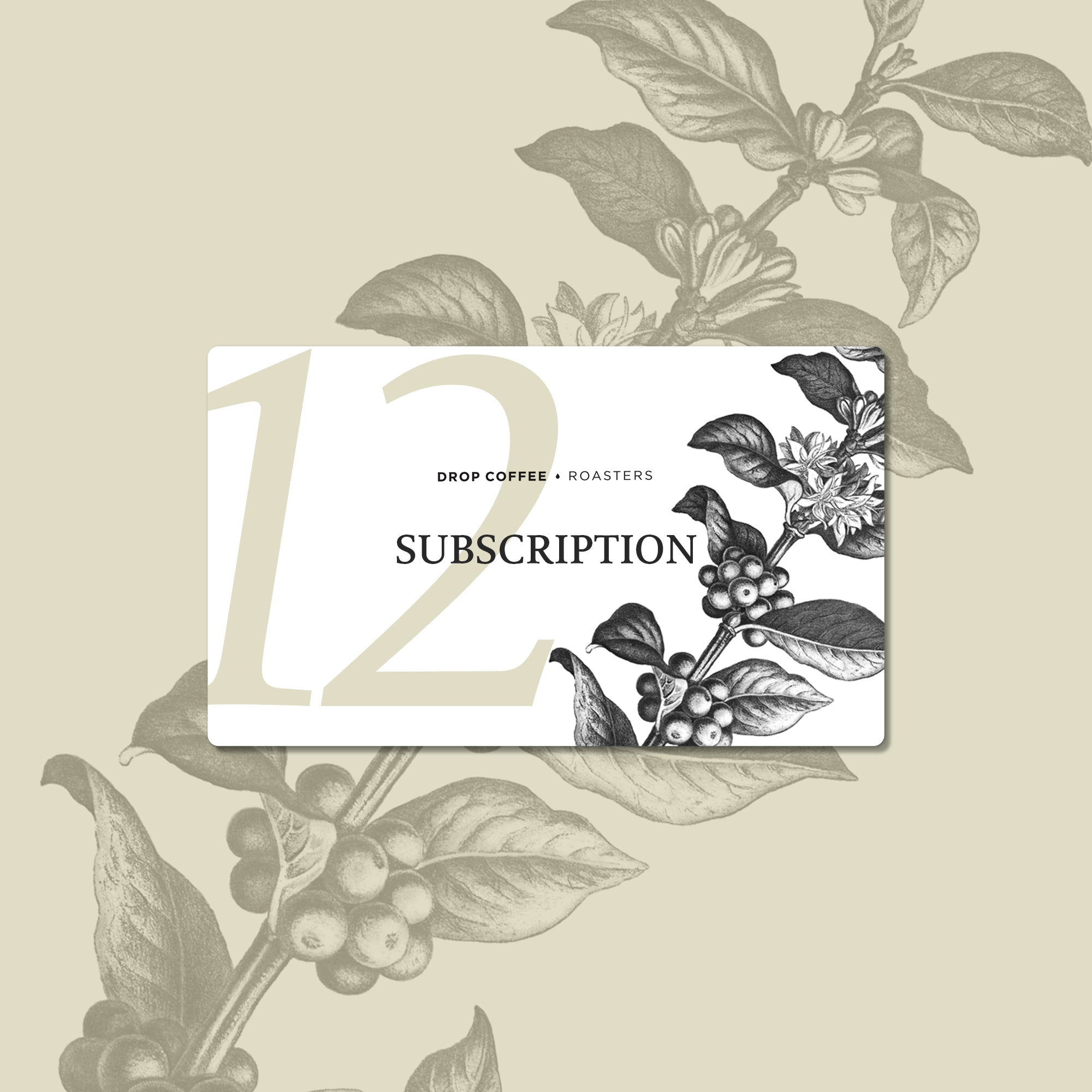 12 Month Coffee Subscription - Ground for filter – Drop Coffee Roasters